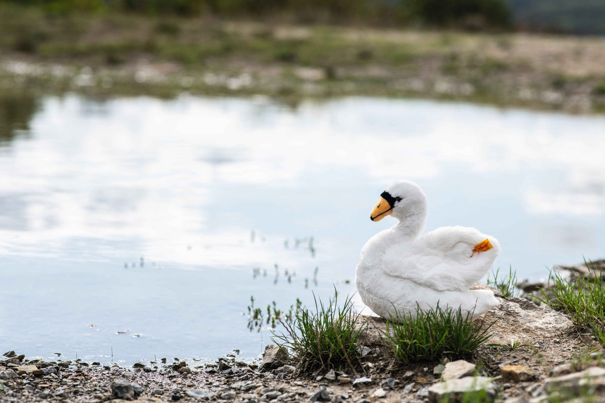 Wise-Kids | Schana swan – Steiff Hong Kong